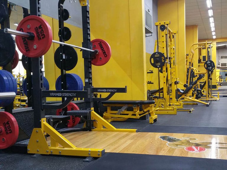 Weights & Gym Area - Squashlands