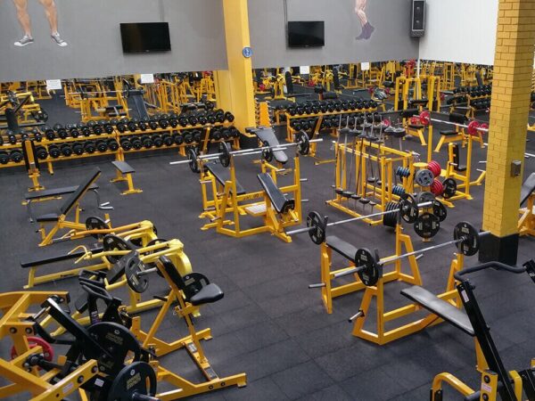 Weights & Gym Area - Squashlands